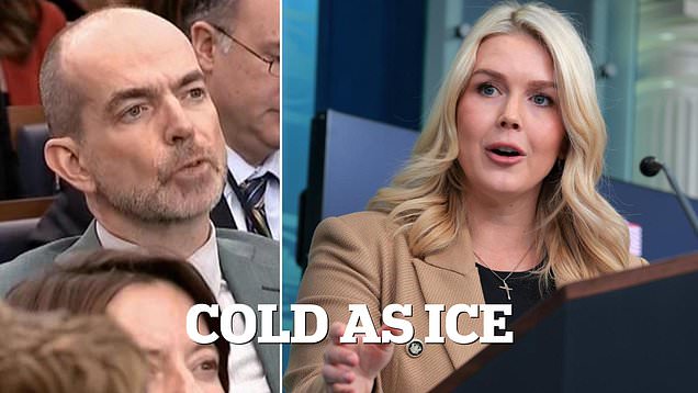 Leavitt lashes out at 'leftwing hack' journalist over ICE question