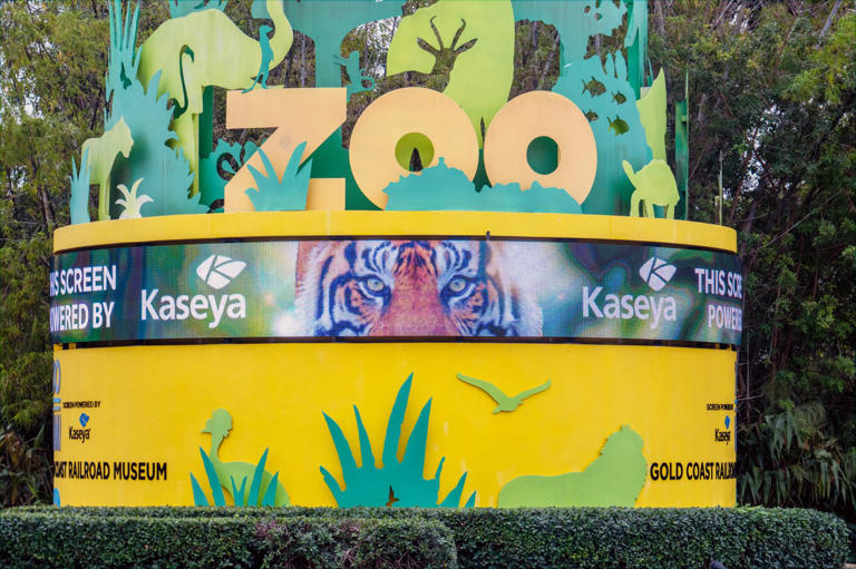 Zoo Miami Foundation thanks Kaseya for gift to upgrade iconic LED ...