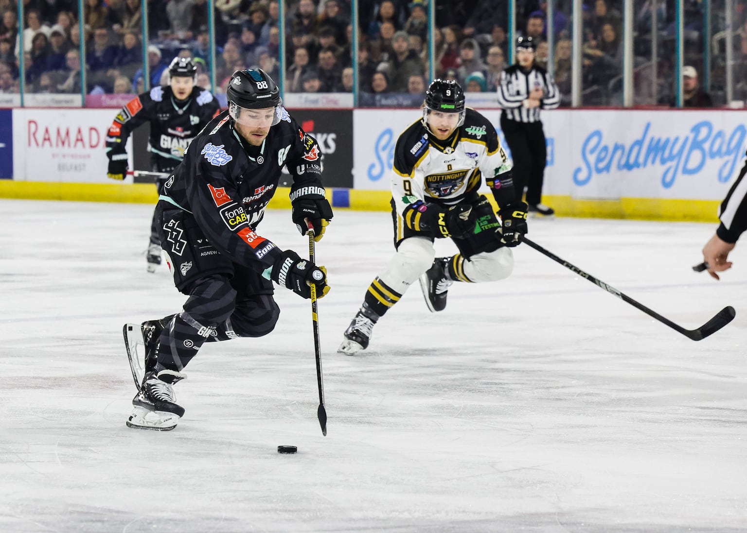 Ryan Smith smells blood in the water as Belfast Giants surge into title ...