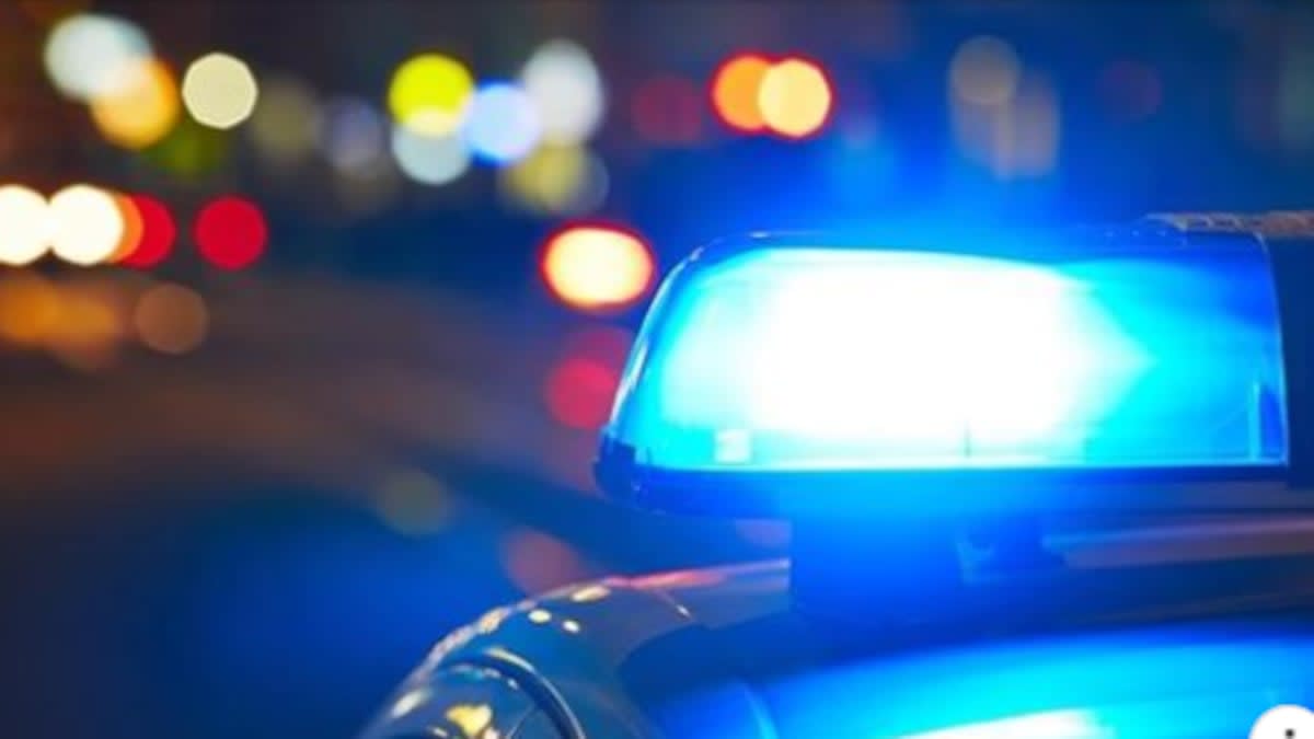 Mulberry teen arrested weeks after deadly Hillsborough crash