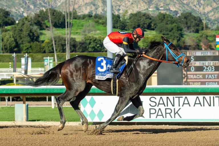 Santa Anita horse track installs slot machine-like terminals sure to ...