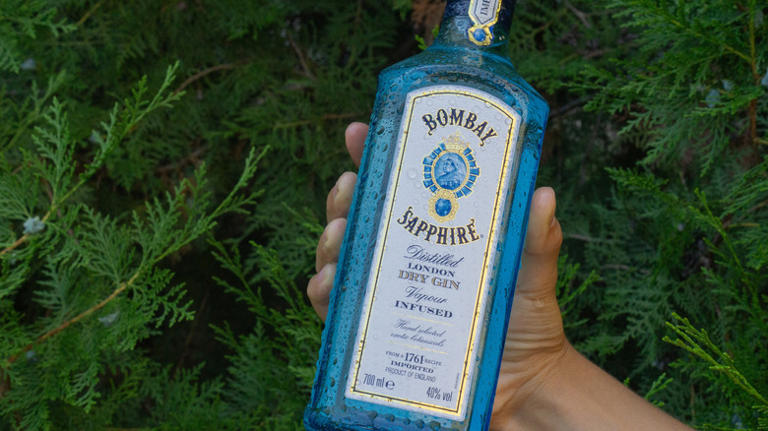 10 gins to try if you like Bombay Sapphire
