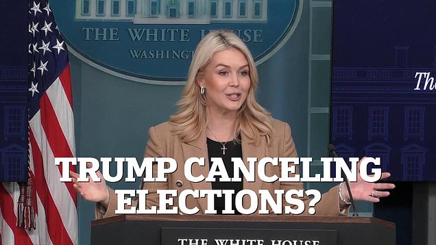 Leavitt says Trump was 'joking' when discussing canceling elections