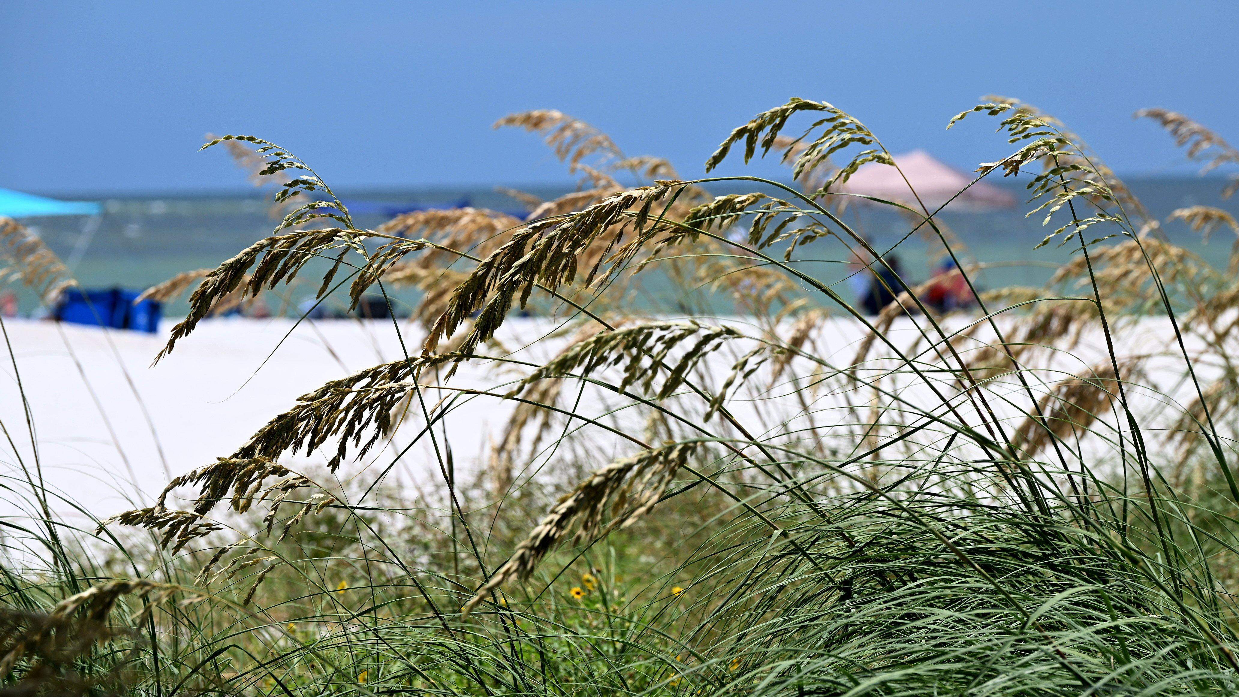 Temperatures are dropping in Manatee County. How cold will it get?