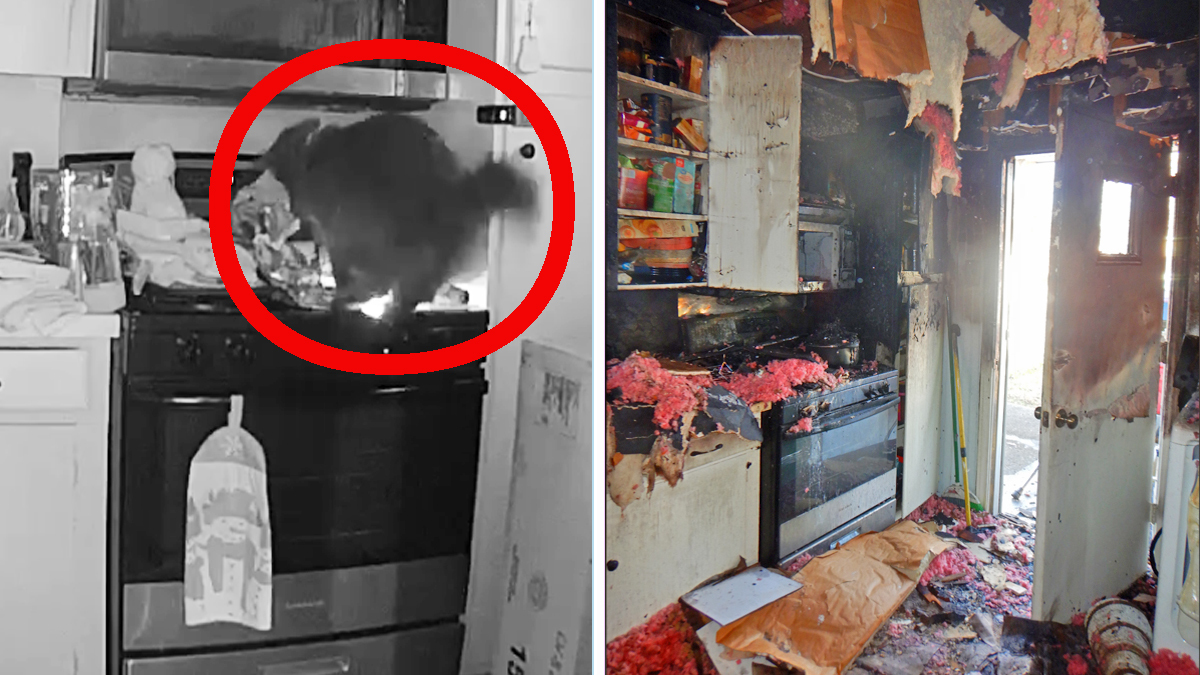 En video: gato inicia incendio en la cocina de su casa en Garland