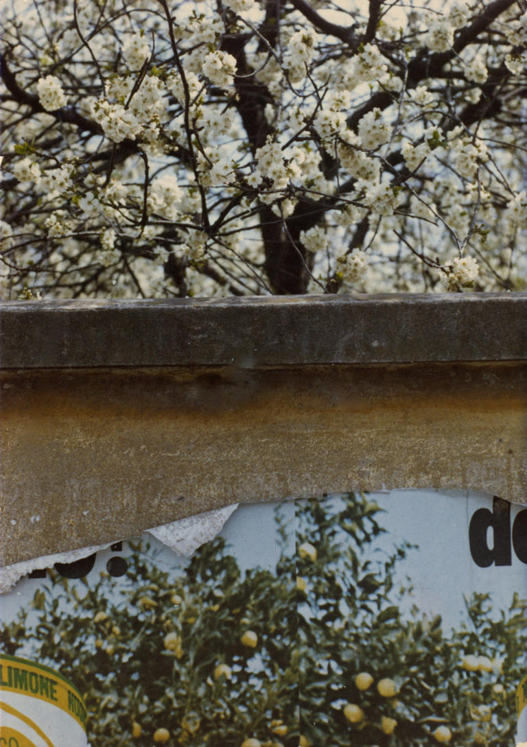 Luigi Ghirri exhibition blurs reality and representation