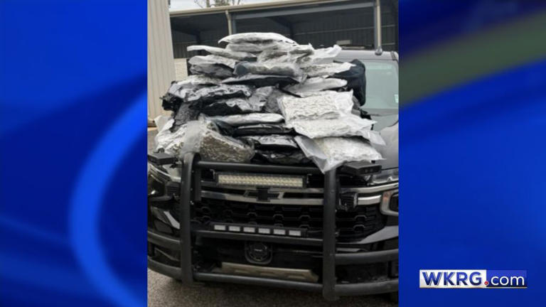 I-10 drug bust: Baldwin County cops allegedly seize 65 pounds of marijuana