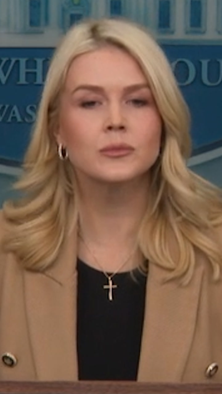 Karoline Leavitt blasts reporter as 'left-wing hack' in live press ...