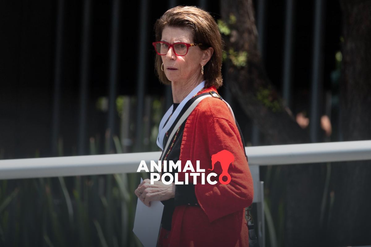 UAS otorgará honoris causa a Annie Pardo Cemo, mamá de Sheinbaum ...