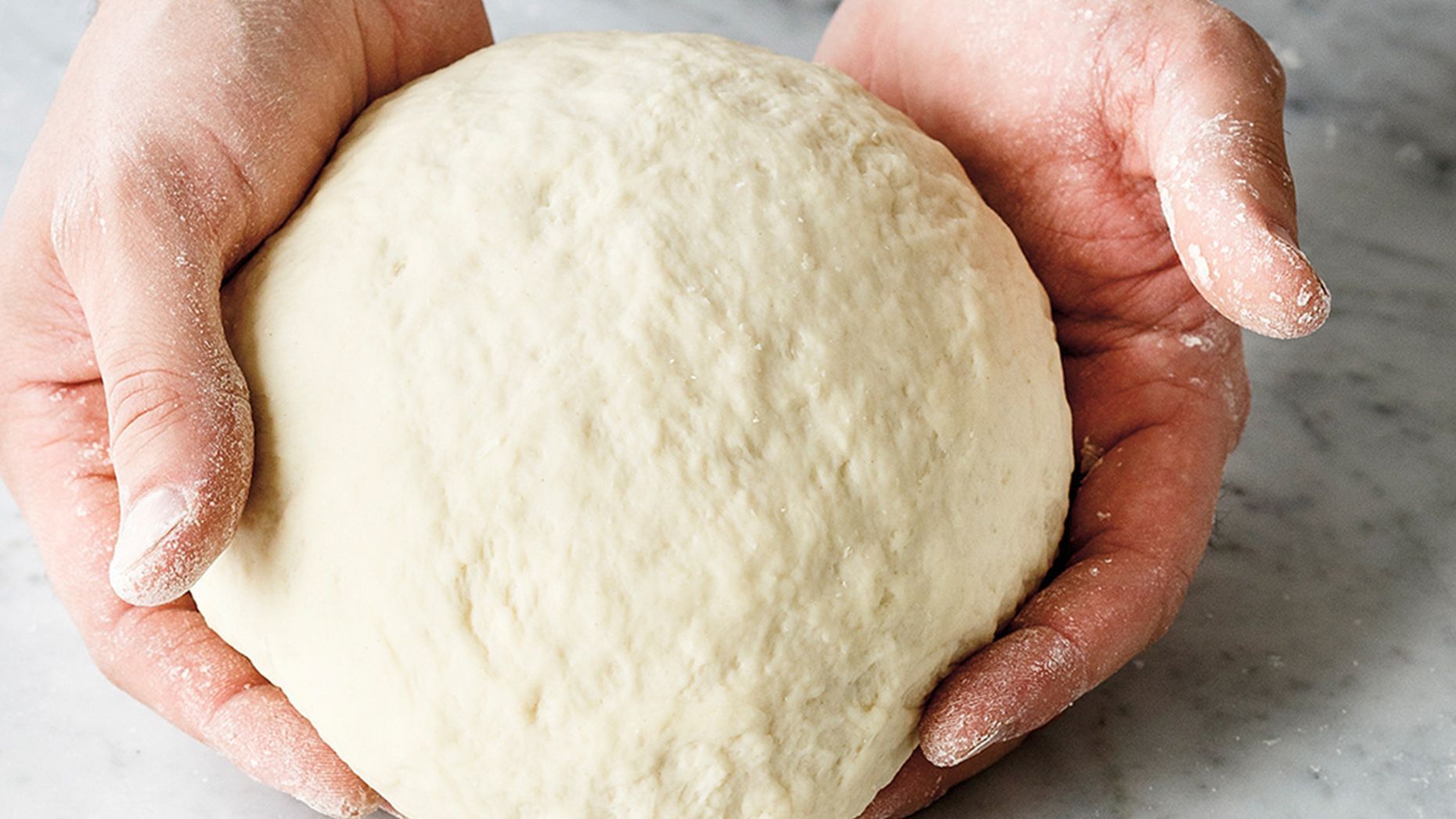 Tout sur les levures