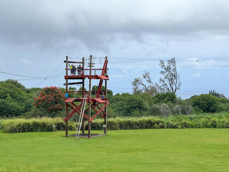 I was terrified to try ziplining (until I found this beginner-friendly ...