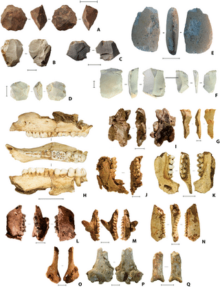 Archaeologists unearth 200,000-year-old evidence of ancient human-like ...