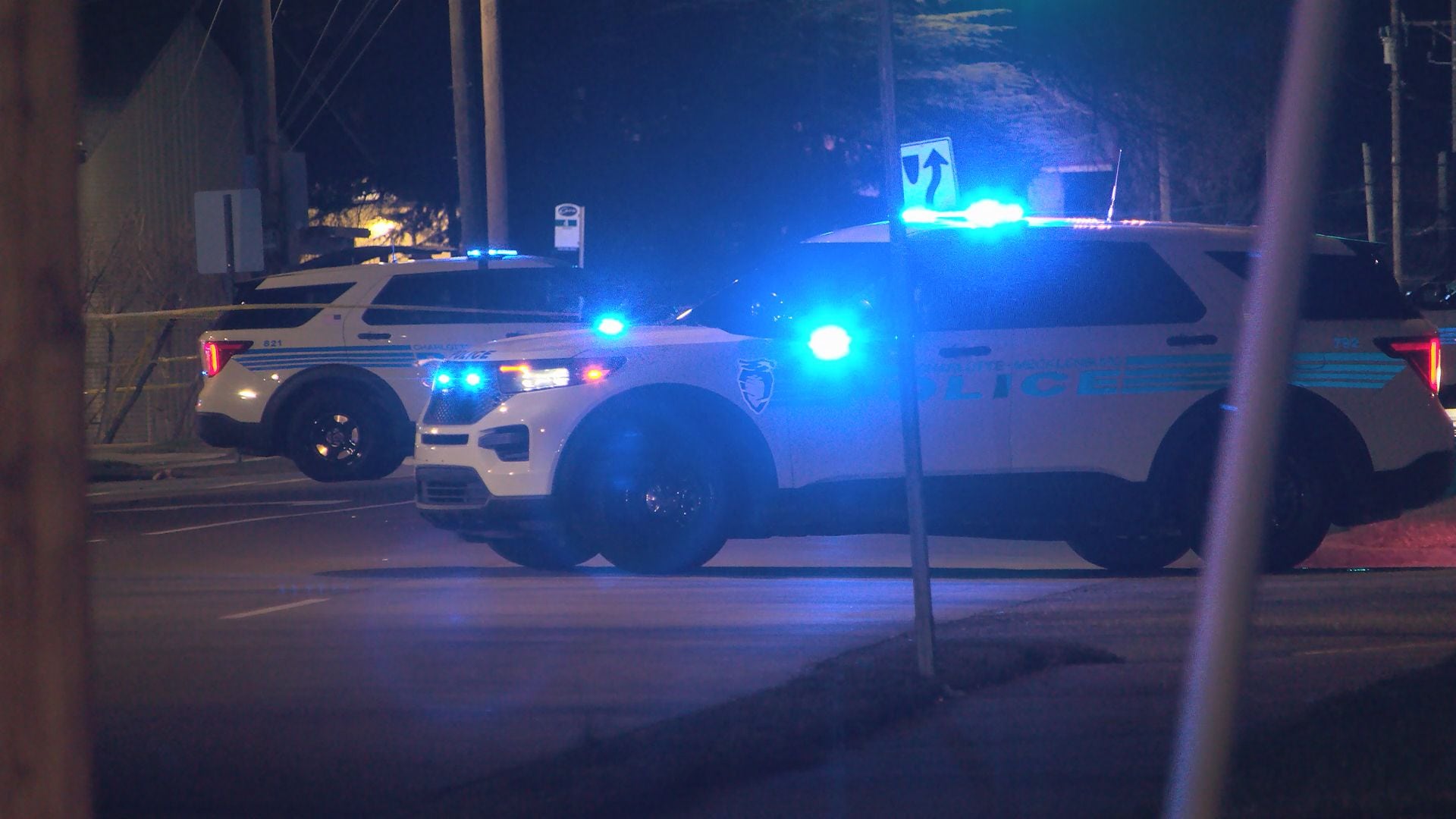 Former Queens University athlete killed in hit-and-run in east ...