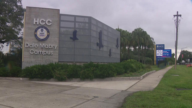 What’s next for the Rays? Ownership group member sheds light on plans ...