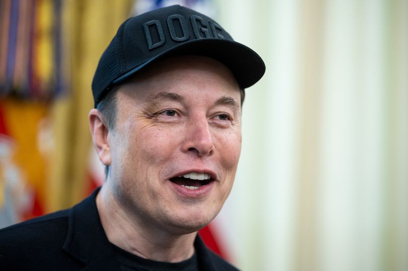TD hits out at Elon Musk for being a 'creepy little slimeball' as Grok ...