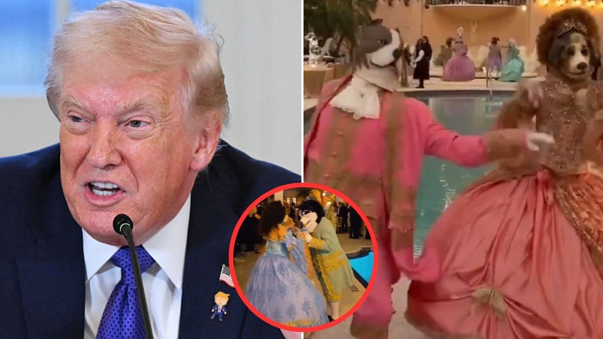 ‘Why is Trump wearing a pig mask?’: Mar-a-Lago party gone wrong leaves ...
