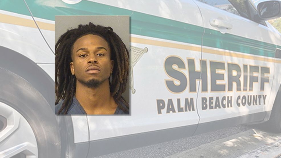 Wellington man sentenced after dead snake, neglected dog found in home