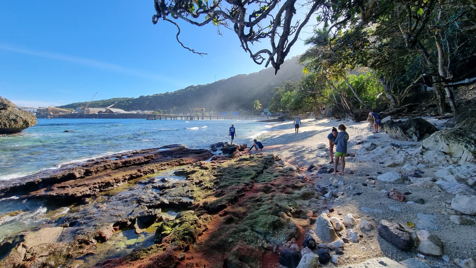 Christmas Island welcomes 'twice-in-a-decade' return of millions of ...