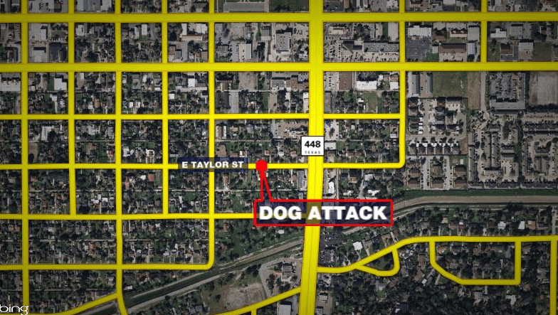 Man, 71, dies after being attacked by dogs inside his home