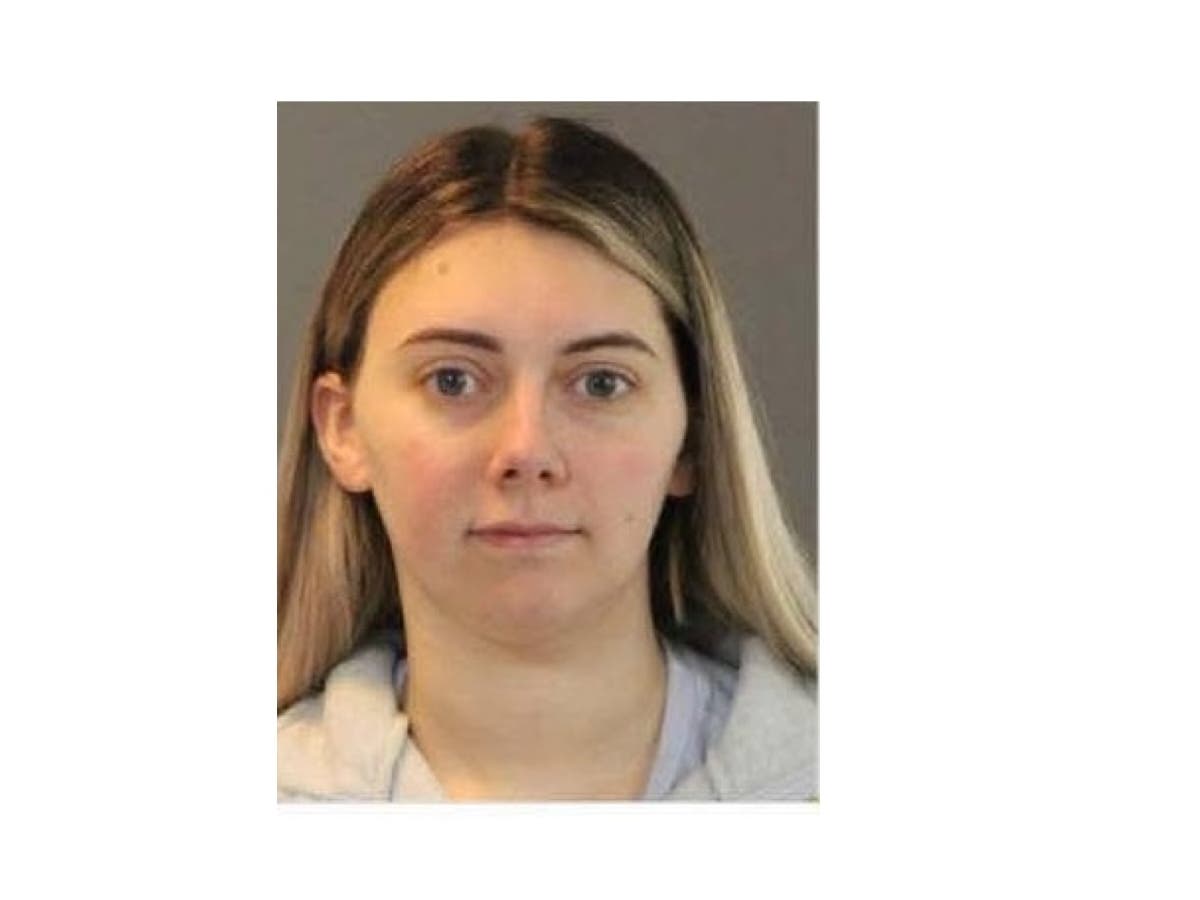 Emaciated German shepherd rescued, owner arrested: Coventry cops