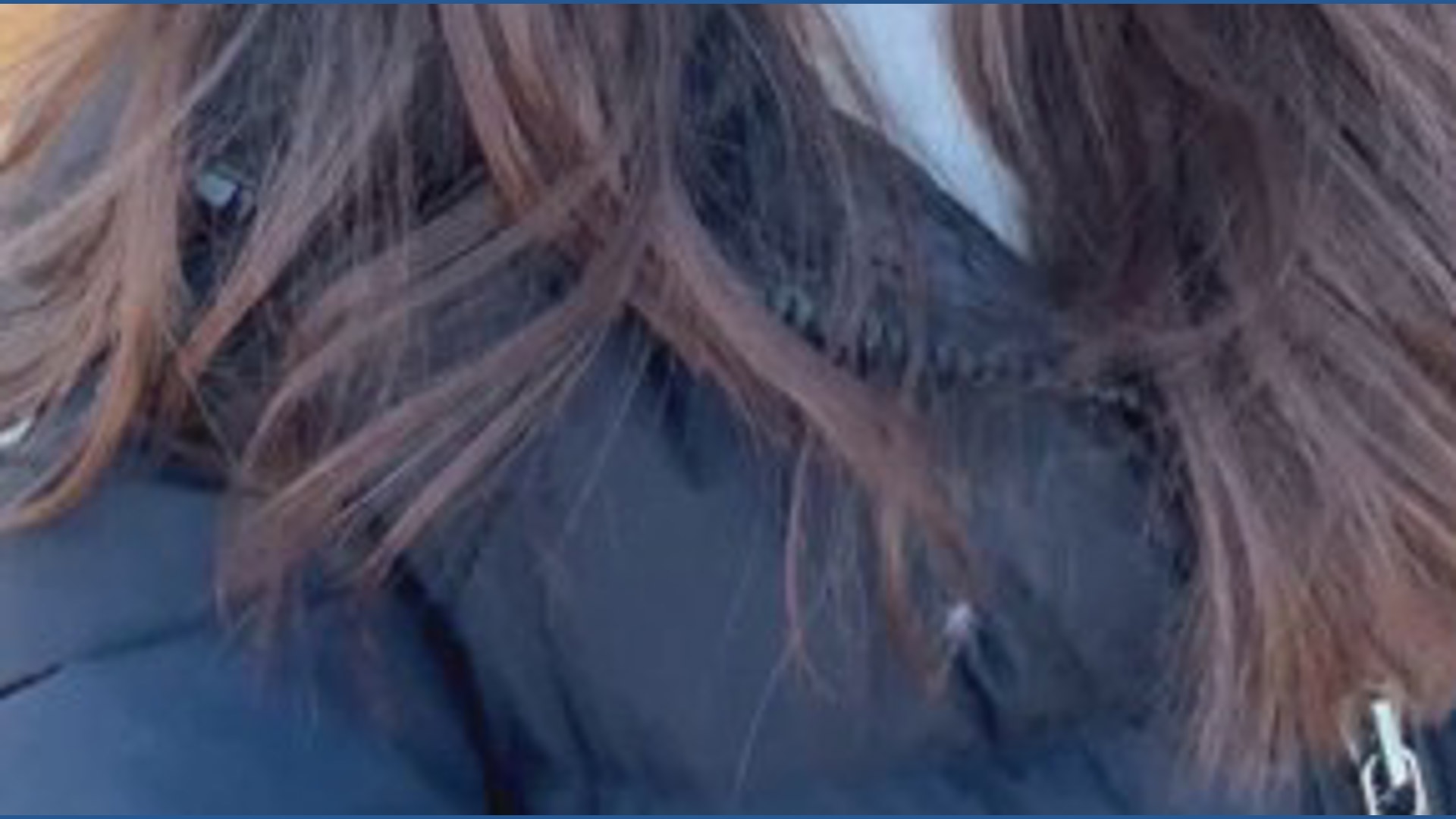 Patient arrested after firing security officer's gun inside Mount ...