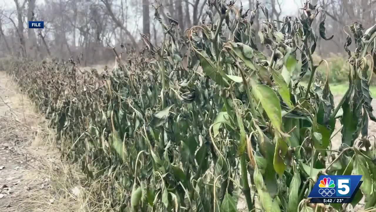 Vermont farmers lost over $15 million during drought, Agency of ...