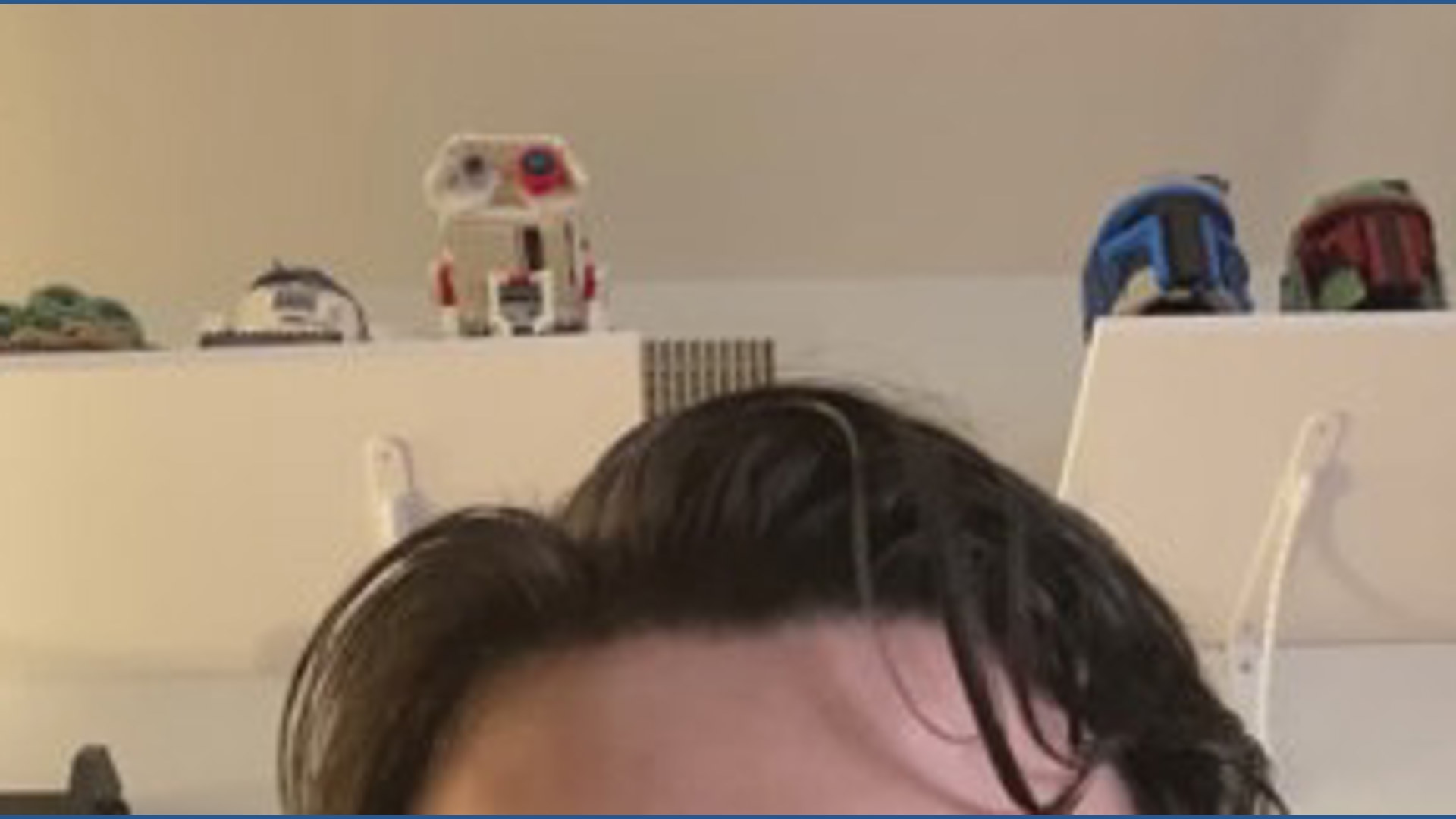 FOX43 witnesses live cow birth