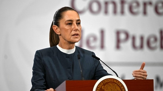 Mexico says trade pact with US will survive despite Trump's skepticism