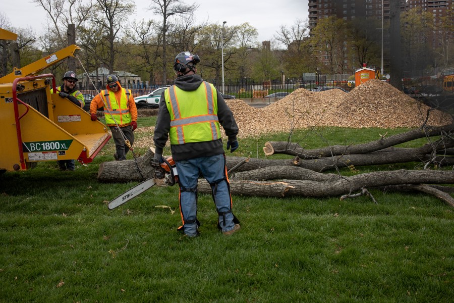 NYC Parks Department hiring, offers pension and other city benefits