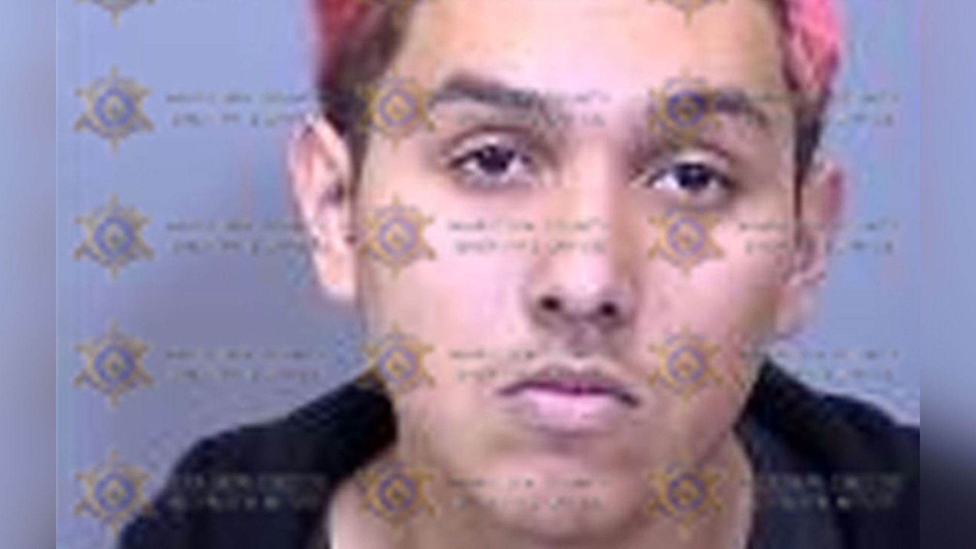 Teen arrested after killing neighbor and living in his home after the crime