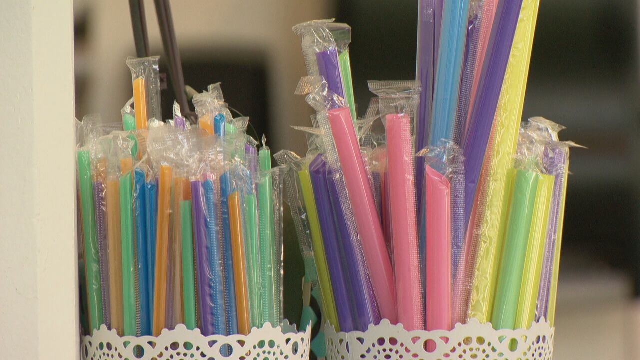 Prof unpacks Ottawa's suspension of single-use plastics ban
