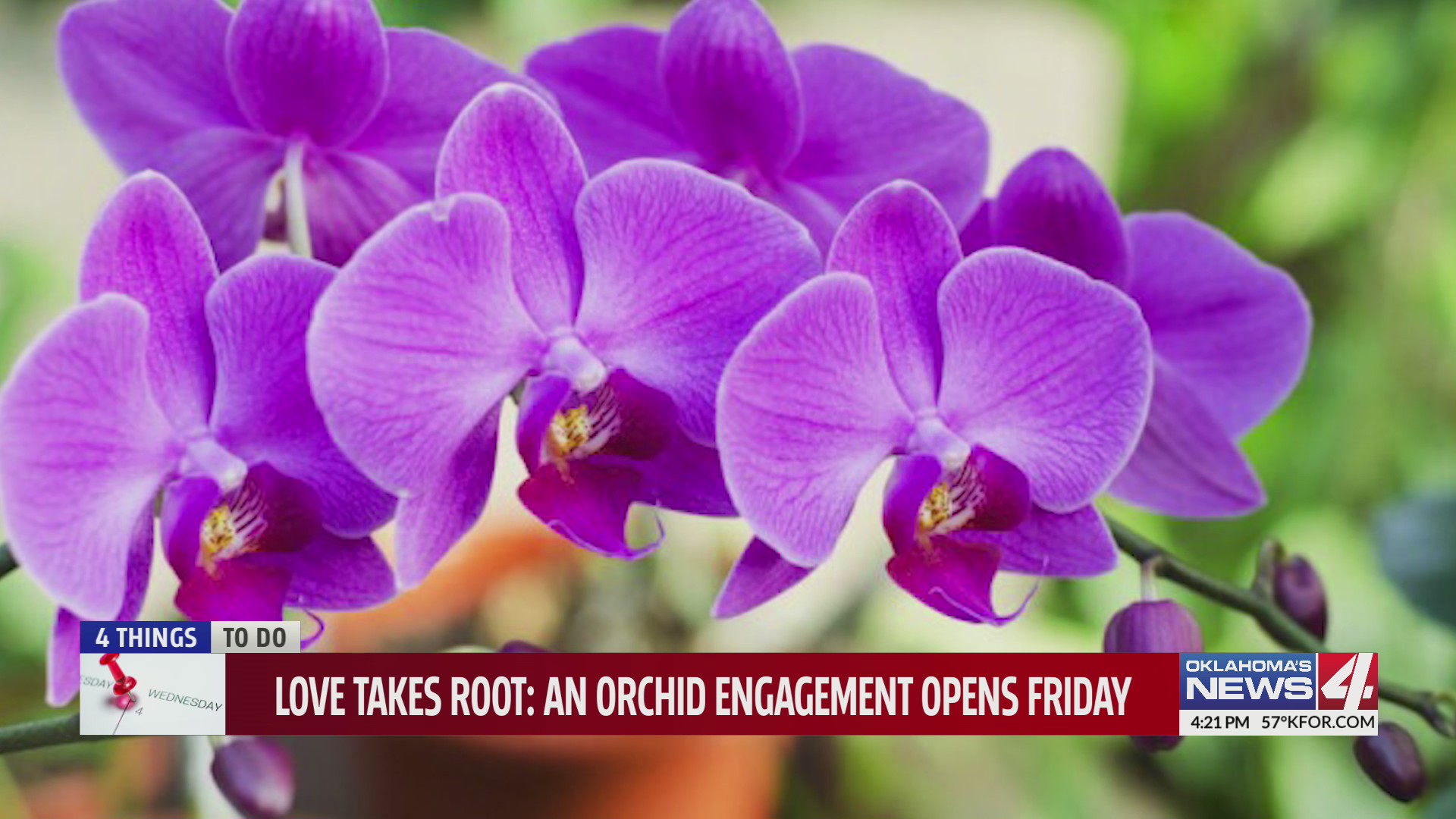 4 things to do: Fun around the metro ahead of the weekend