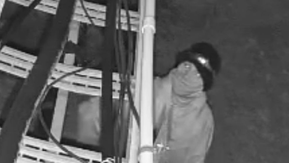 Unknown suspects steal radio tower cables; FCSO offers cash reward for tips