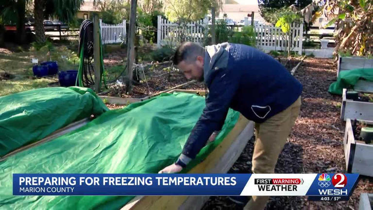 Experts share tips on how to protect your plants during Central Florida ...