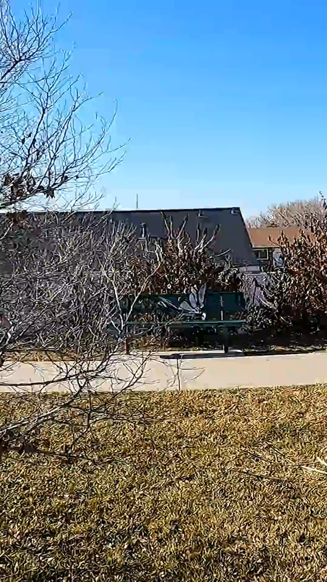 We finally understand how birds fly #science #physics #birds # ...