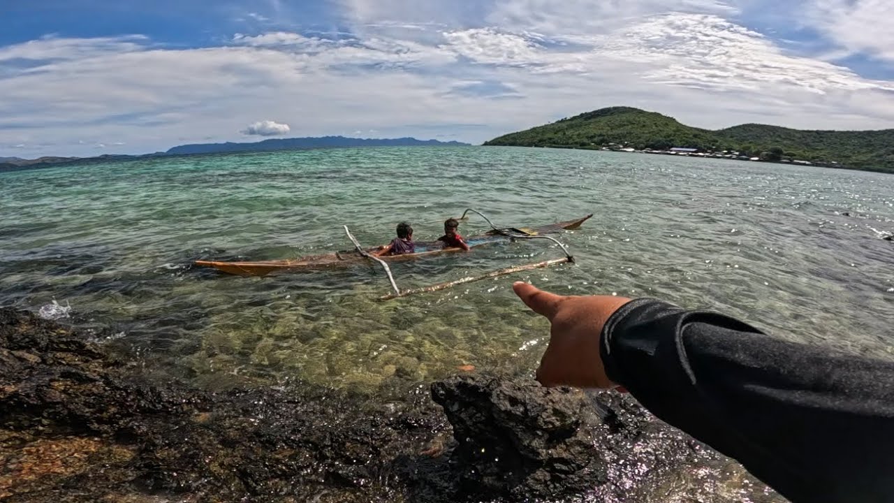 What happened to these fish