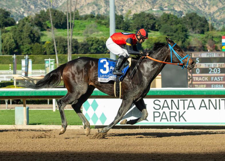 Santa Anita horse track installs slot machine-like terminals sure to ...
