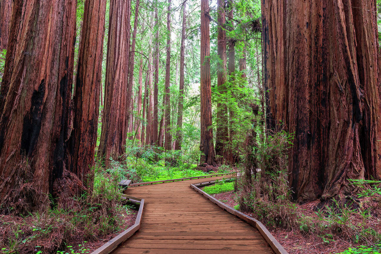Sierra Club sues Trump administration over national park history purge