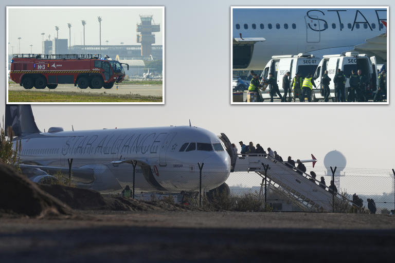 Plane forced to make emergency landing after passenger allegedly put ...