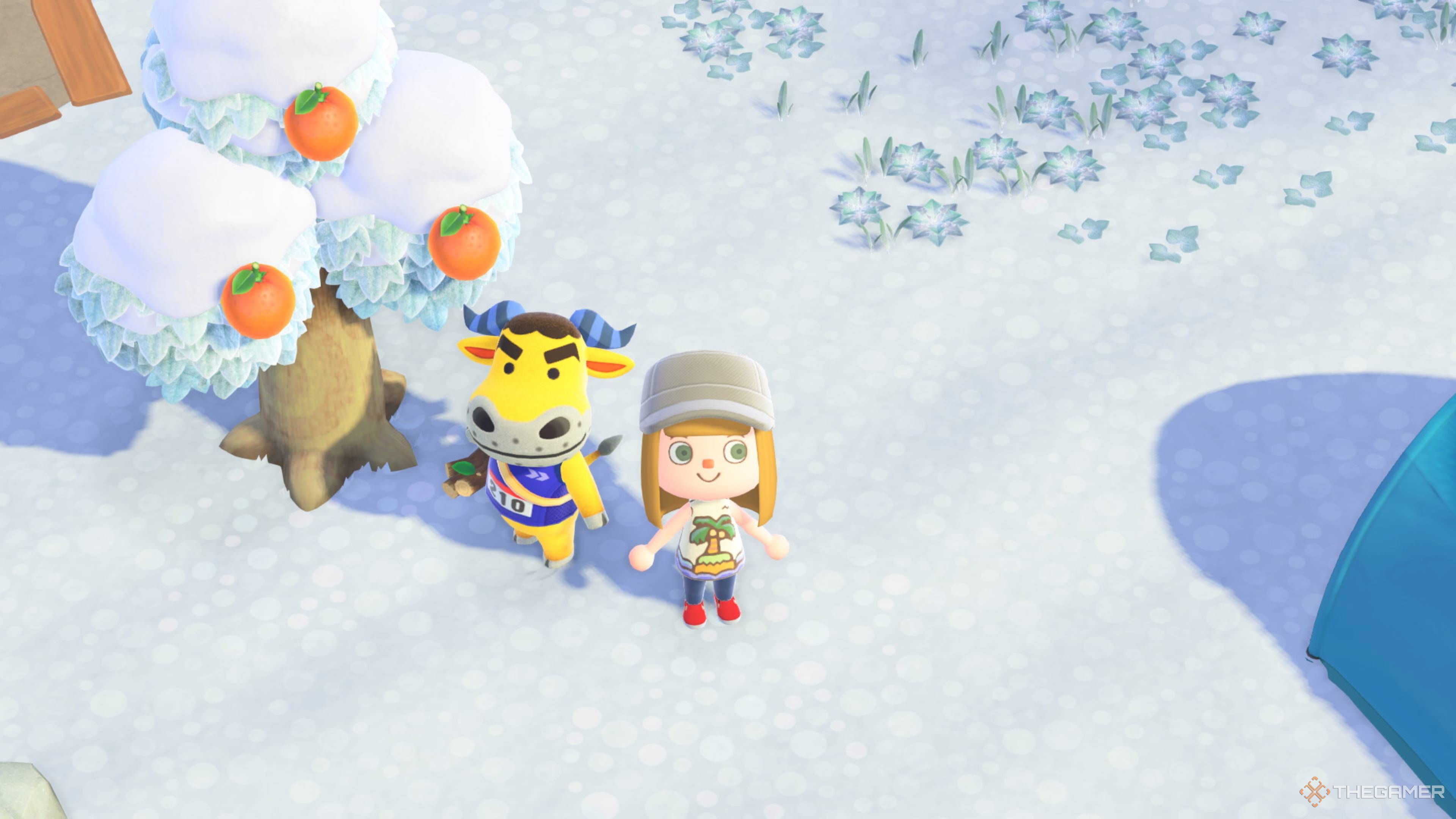 Every new feature added in the Animal Crossing: New Horizons Switch 2 ...