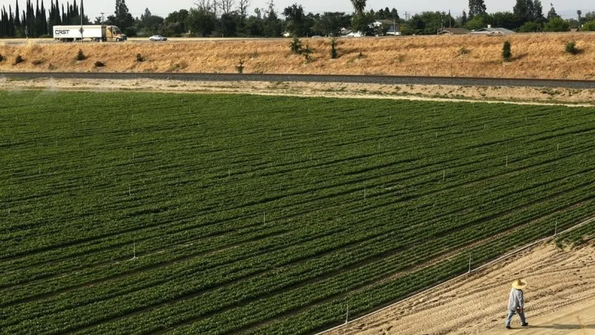 Congress eyes another $15 billion for farmers hurt by Trump tariffs