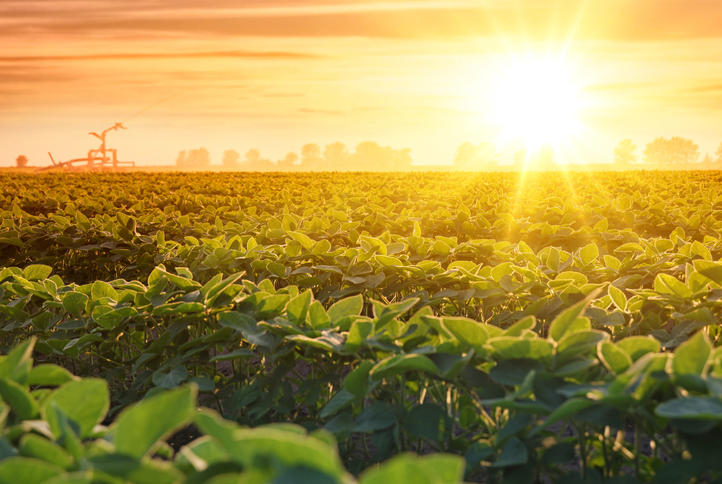 Two Central Virginia projects receive grants supporting local food systems