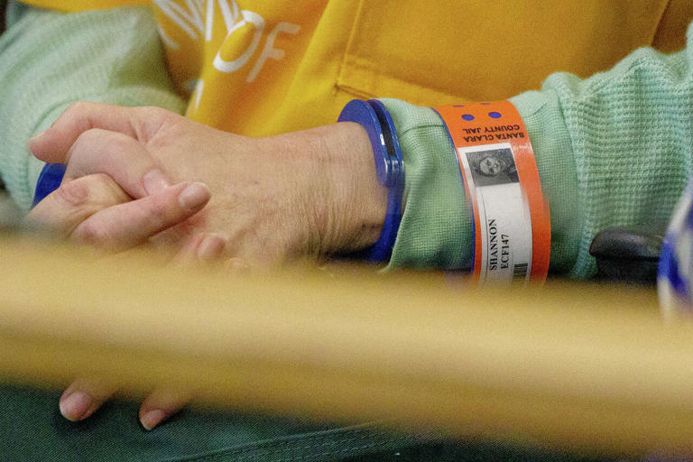 Teen says Los Gatos 'party mom' tormented her for breaking up with son