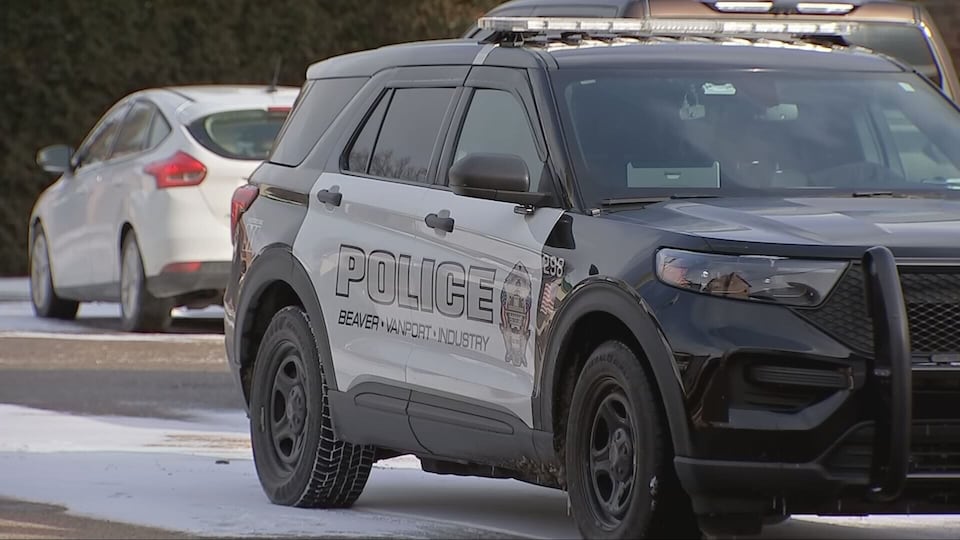 Man found dead in Beaver County house with dog bite on neck, sources say