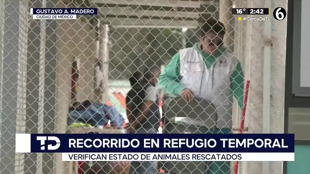 Refugio Franciscano: Telediario visita el nuevo refugio temporal en la GAM