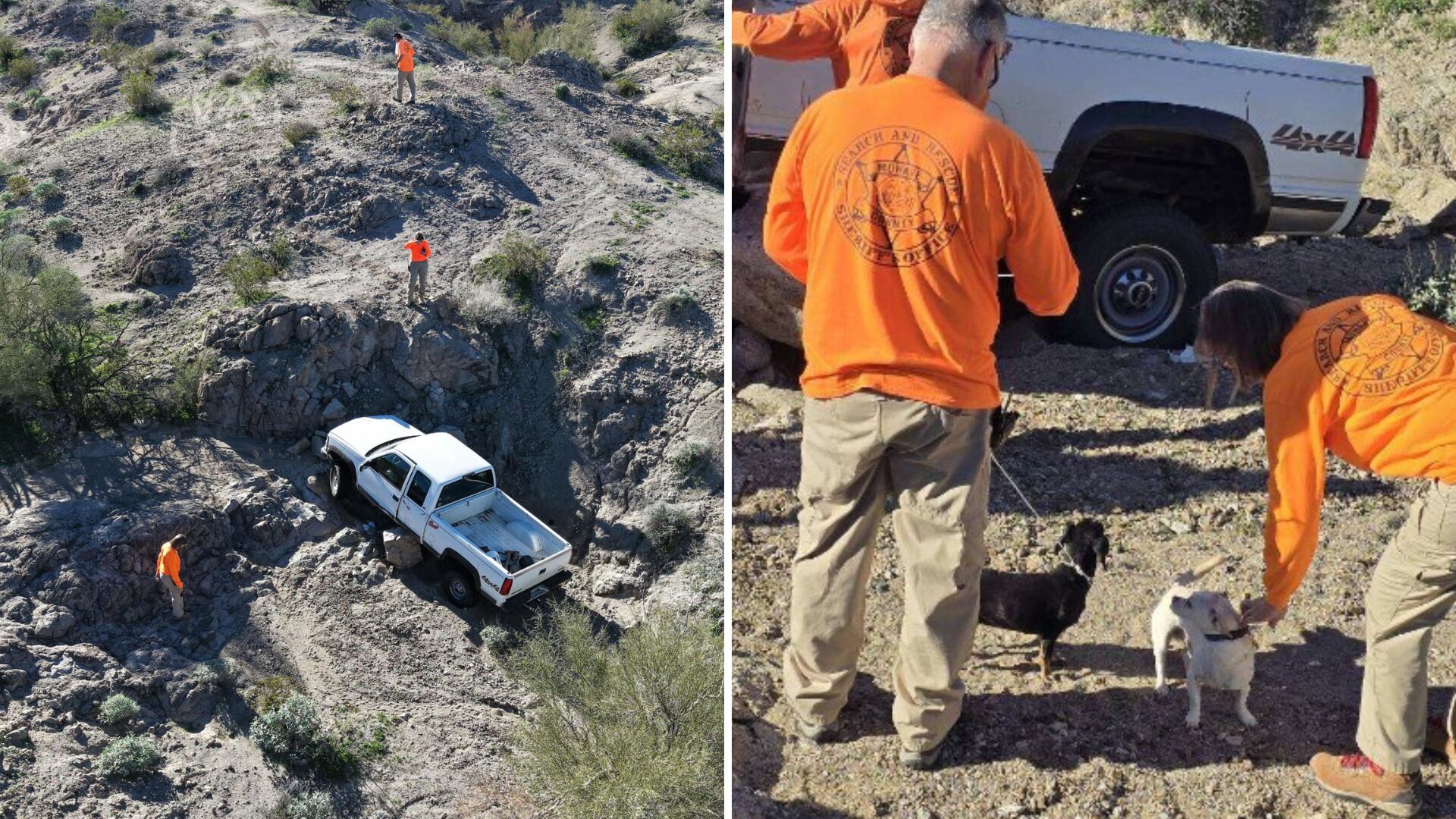 Mohave County rescuers save injured man, 4 dogs who got stranded