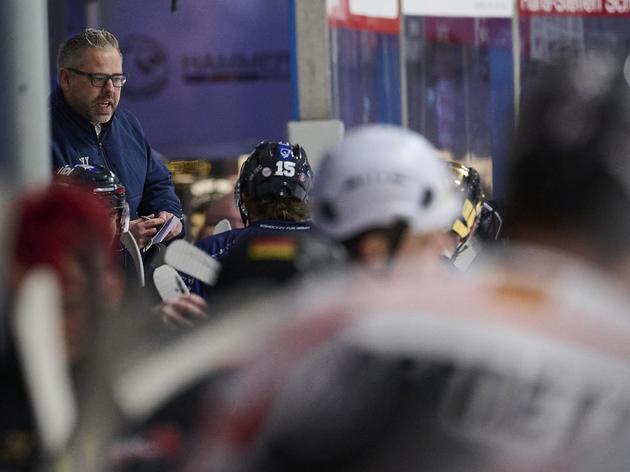 Inmitten des Playoff-Kampfs: Hammer Eisbären treffen ...