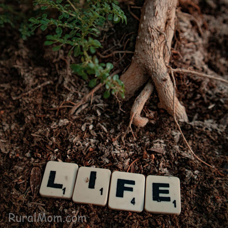 How existential therapy helps individuals find meaning in life