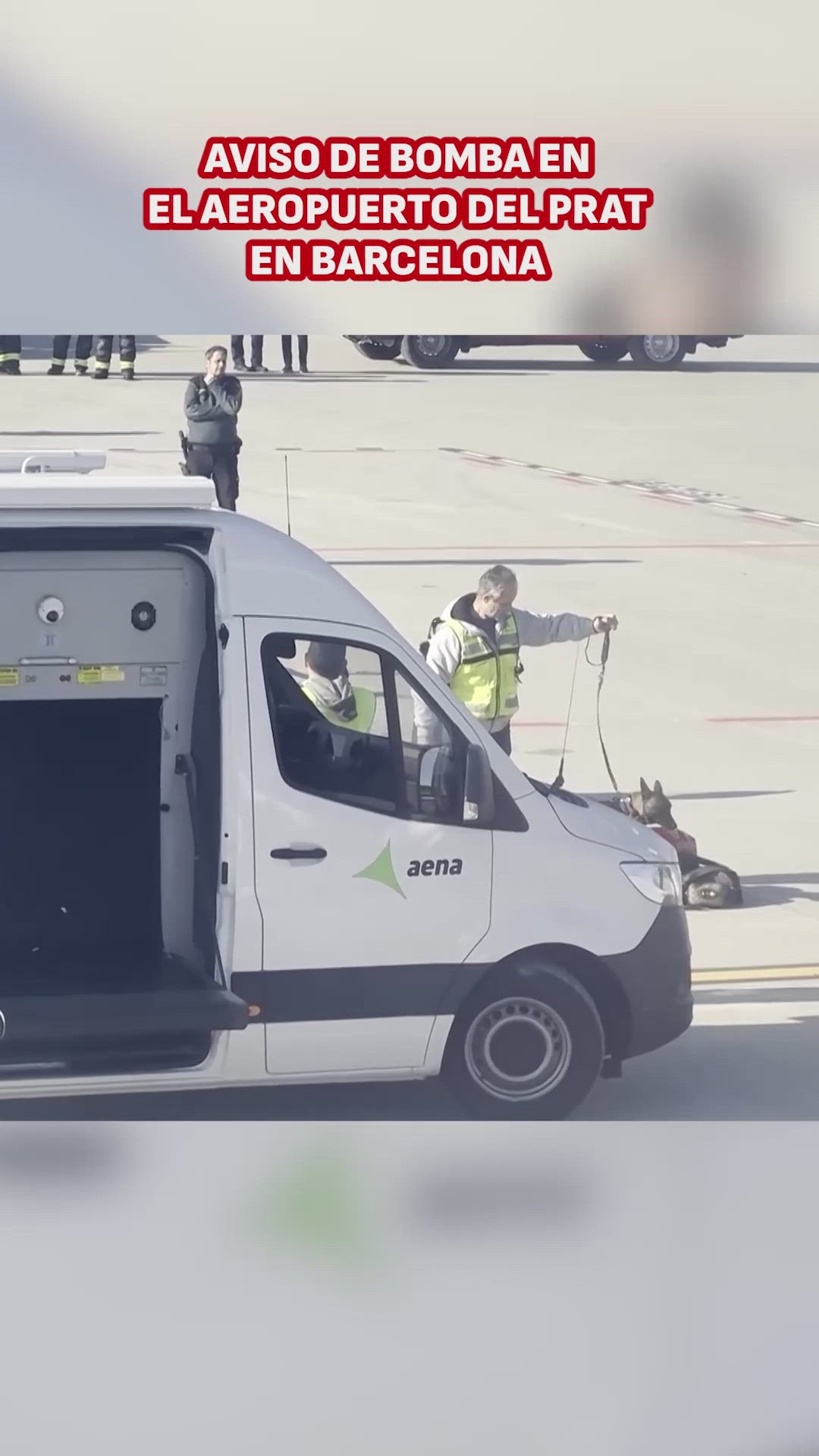 El momento en el que los perros de la policía procedían a detectar si ...