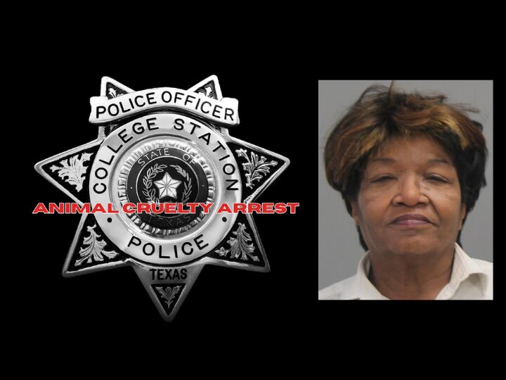 College Station woman arrested after 18 dogs recovered from residence